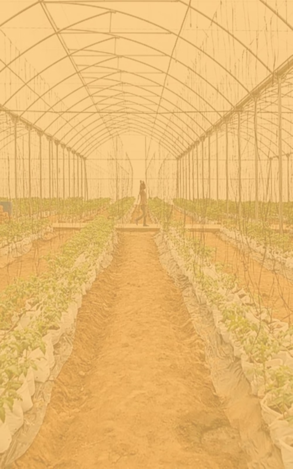 Sustainability Commitment - COLEACP